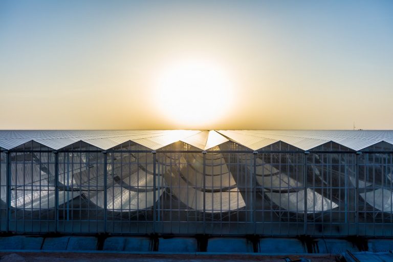 Commencement of Steam Delivery from Miraah Solar Plant - Bahrain This Week