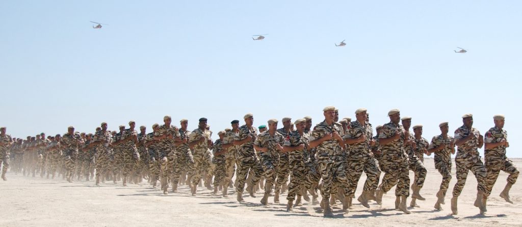 BDF Turns Fifty Years - Bahrain This Week