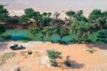 Revitalizing Saudi Arabia’s Landscape: Ambitious Plans for Green Growth ...