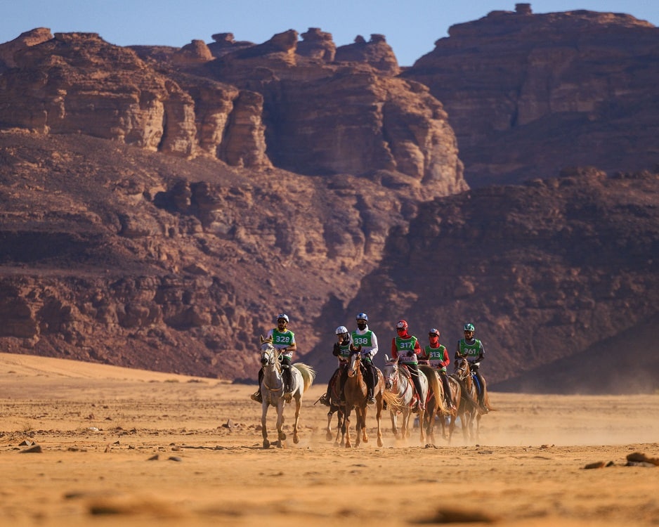 Bahrain Celebrates Victory in Custodian of the Two Holy Mosques ...